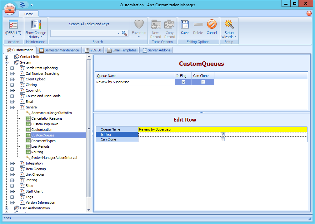 Creating Custom Flags | Atlas Systems Documentation